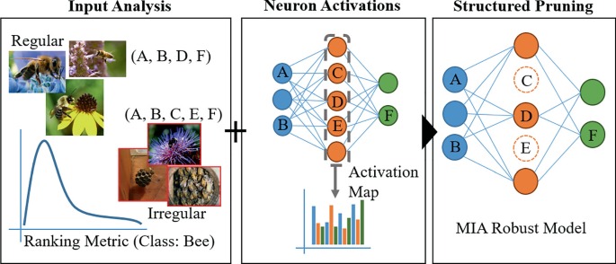 An Empirical DNN Pruning Approach Against Membership Inference Attacks | SpringerLink