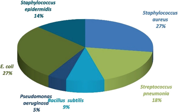 Microbiological Safety and Cosmetics | SpringerLink