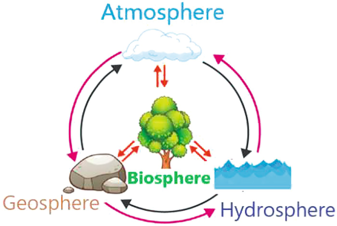 Biosphere: Ecosystem Diversity and Environmental Change | Springer ...