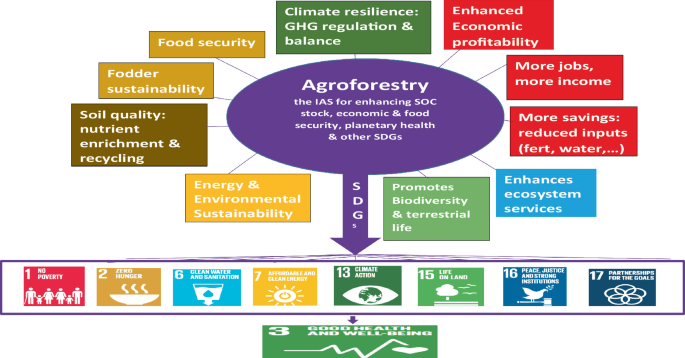 Soil Organic Carbon and Agroforestry as Integrated Agricultural System ...