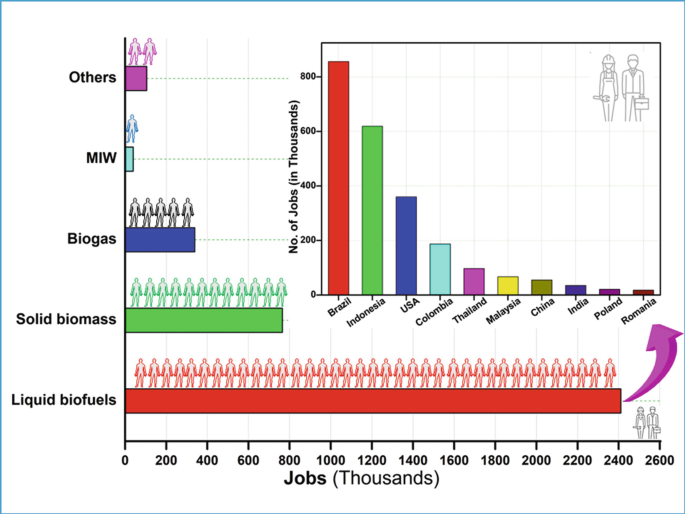 Socioeconomic Implications of Advanced Biofuels Production | SpringerLink