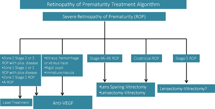 Retinopathy of Prematurity | Springer Nature Link