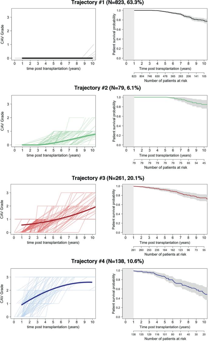 Cardiac Allograft Vasculopathy | SpringerLink