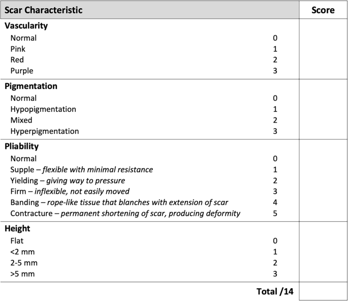 Scar Assessment Scales | SpringerLink