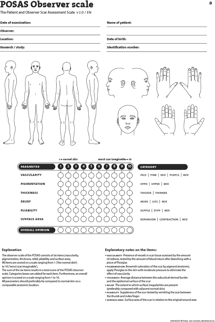 Scar Assessment Scales | SpringerLink