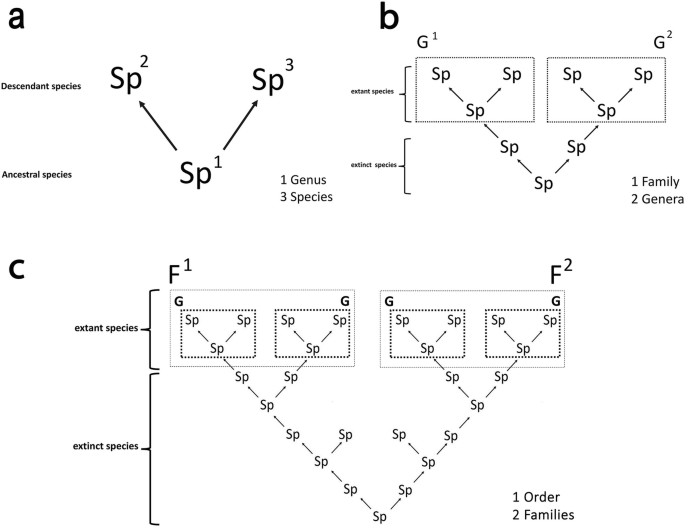 Units of Evolution (II): Higher Taxa and Homologues | Springer Nature Link