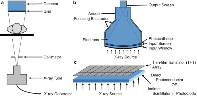 Fluoroscopy and Interventional Radiology | SpringerLink
