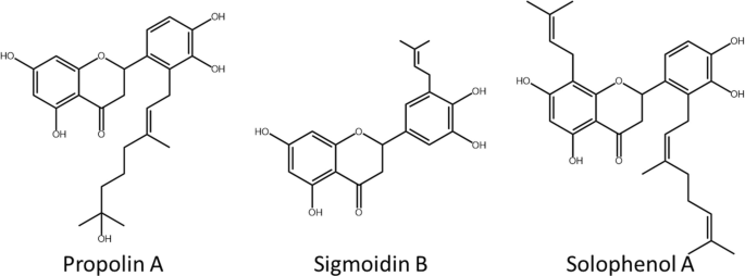 Phenolic Composition of Propolis | SpringerLink