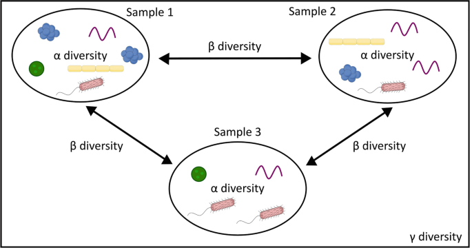 Microbial Biodiversity of Man-Made Water Features | SpringerLink