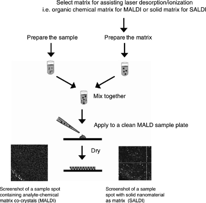 MALDI-MS Analysis of Exosomes | SpringerLink