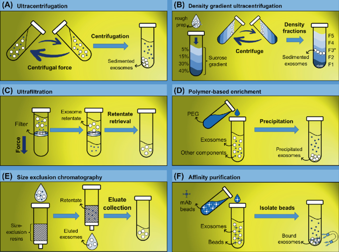 Novel Methods for Exosome Isolation Based on Precipitation and ...