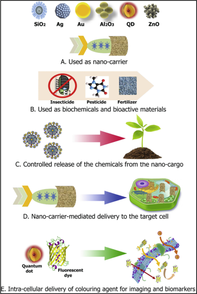 Nanoparticle Synthesis and Modification for Plant Applications ...