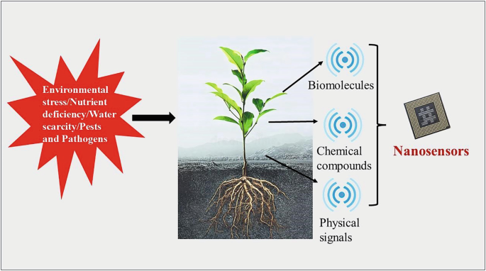 Nanosensors for Monitoring Plant Health | SpringerLink