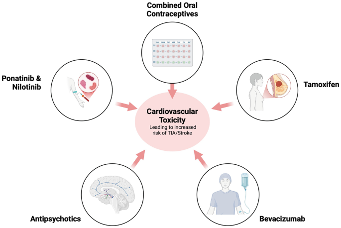 Transient Ischemic Attack and Stroke in Cardiovascular Toxicity ...