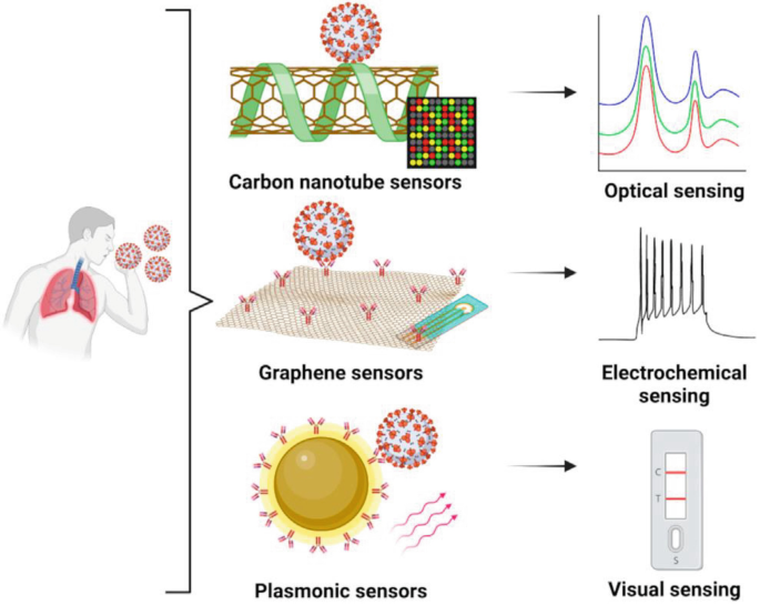 Nano Sensors: Recent Developments in Environmental and Health Care ...
