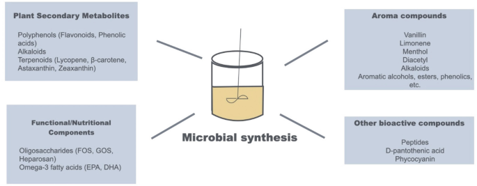 An Overview of Microbial Production of Food Bioactive Compounds ...