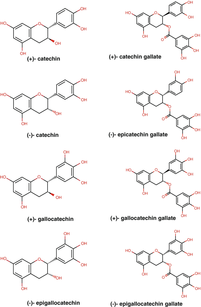 Microbial Production of Catechin | SpringerLink