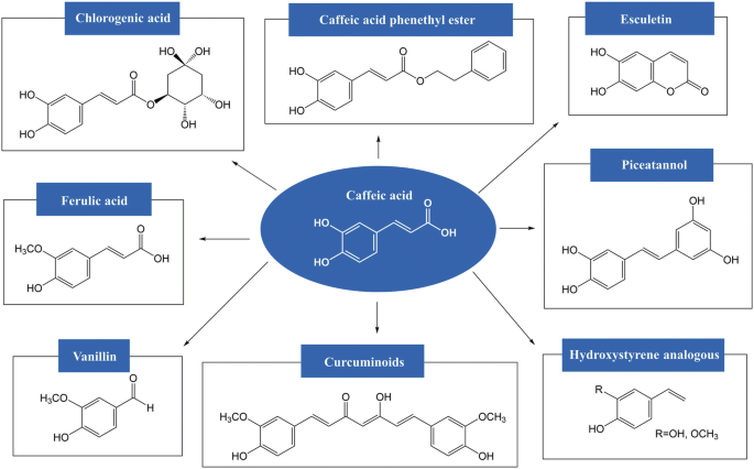 Microbial Production of Caffeic Acid | SpringerLink