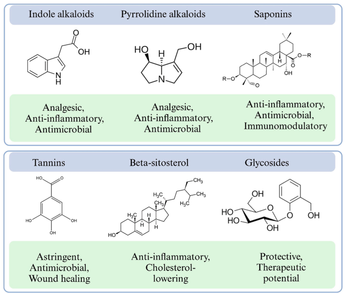 Bioactive Compounds and Biological Activities of Avicennia africana P ...