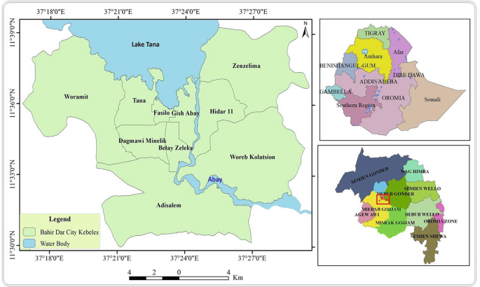An African Approach: Bahir Dar Learning City | Springer Nature Link