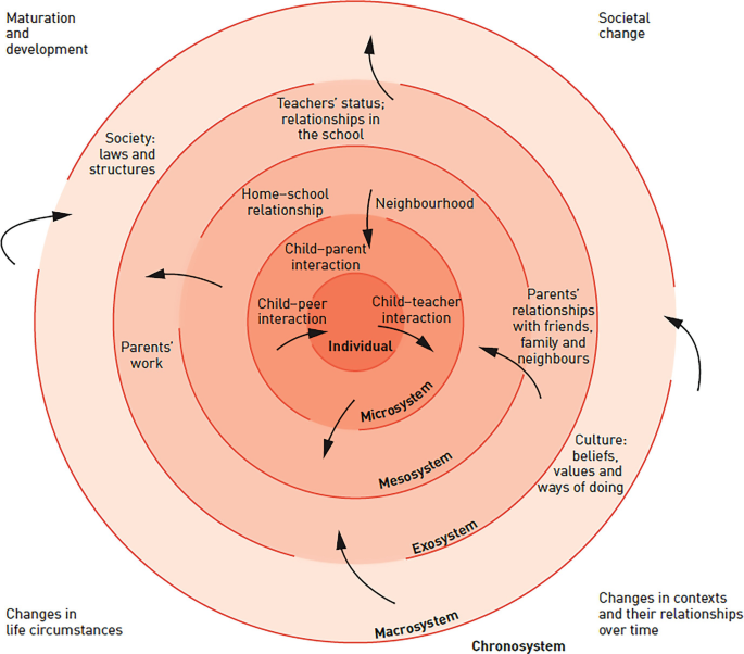 Students’ Cultural Identities and Engagement in Learning | SpringerLink