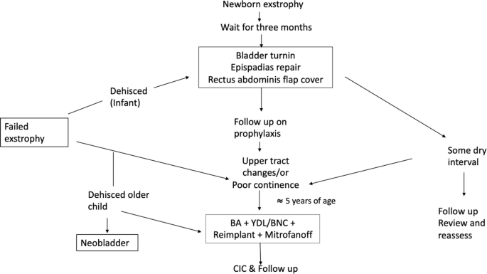 Urinary Reconstruction for Bladder Exstrophy in the Developing World ...