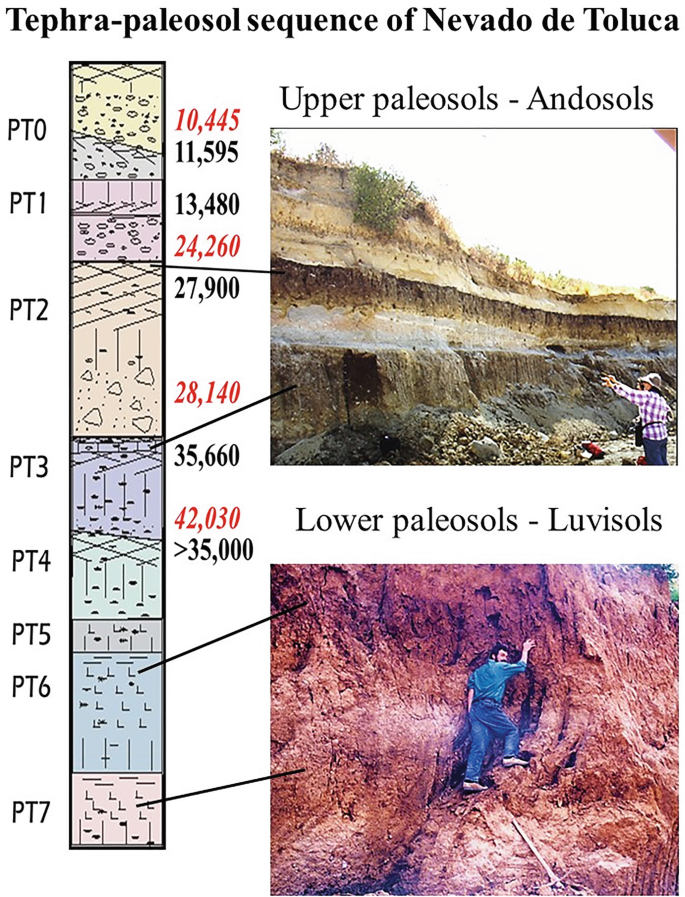 Paleosols of the Volcanic Geosystems | Springer Nature Link