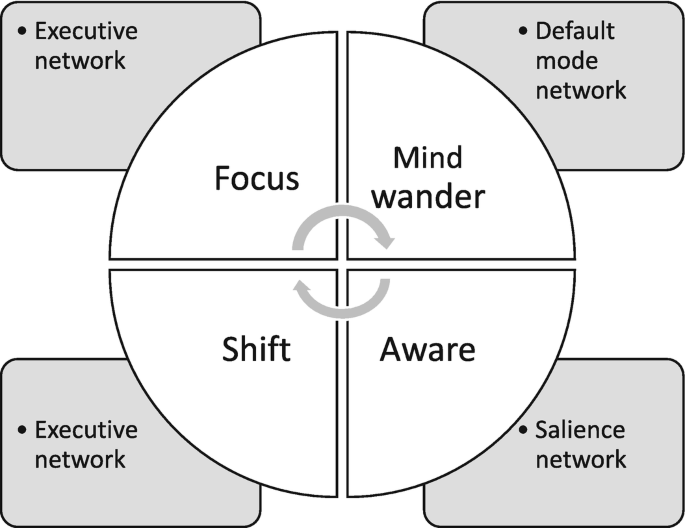 Neuroscience of Mindfulness Meditation and Executive Functions ...