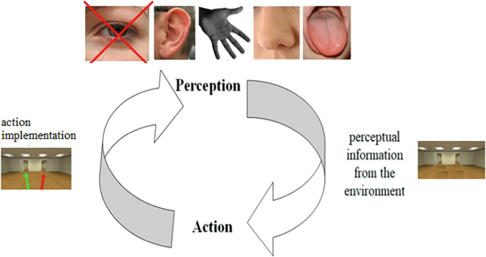 Perception-Action Loop and New Classification of Mobility Devices for ...