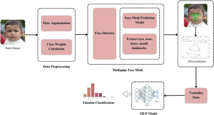 Enhancing Facial Emotion Recognition Accuracy Through Face Landmark ...