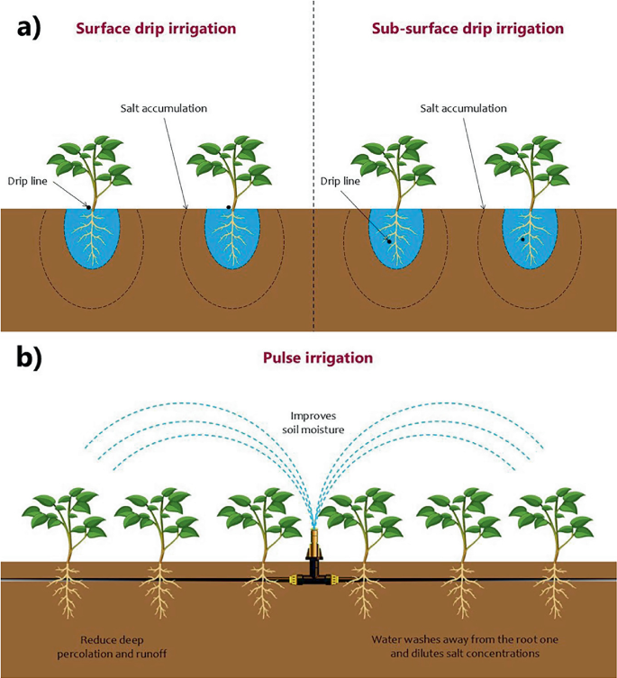In-Situ Soil and Water Conservation for Sustainable Agriculture ...