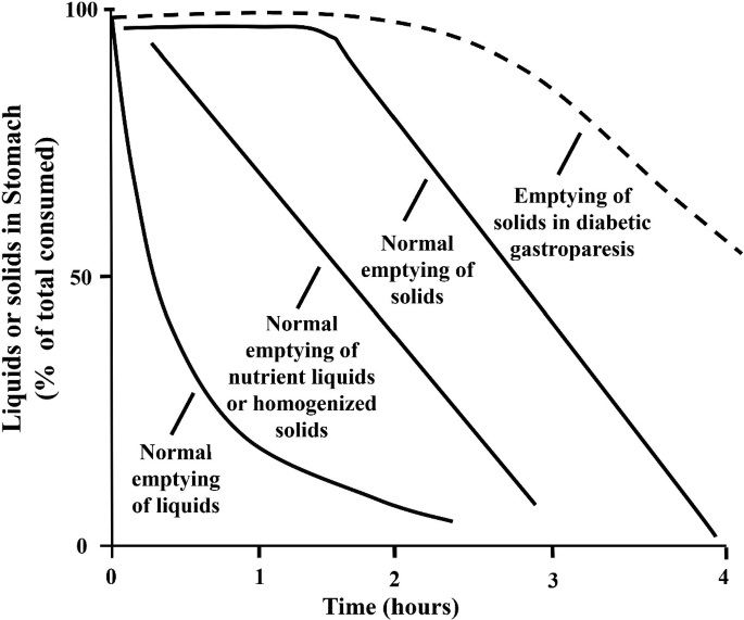 Analysis and Parametric Modeling of the Digestive Process of Food in ...