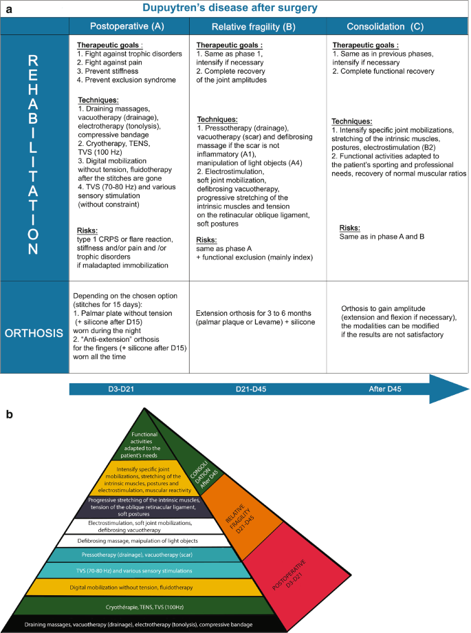 Dupuytren’s Disease | SpringerLink