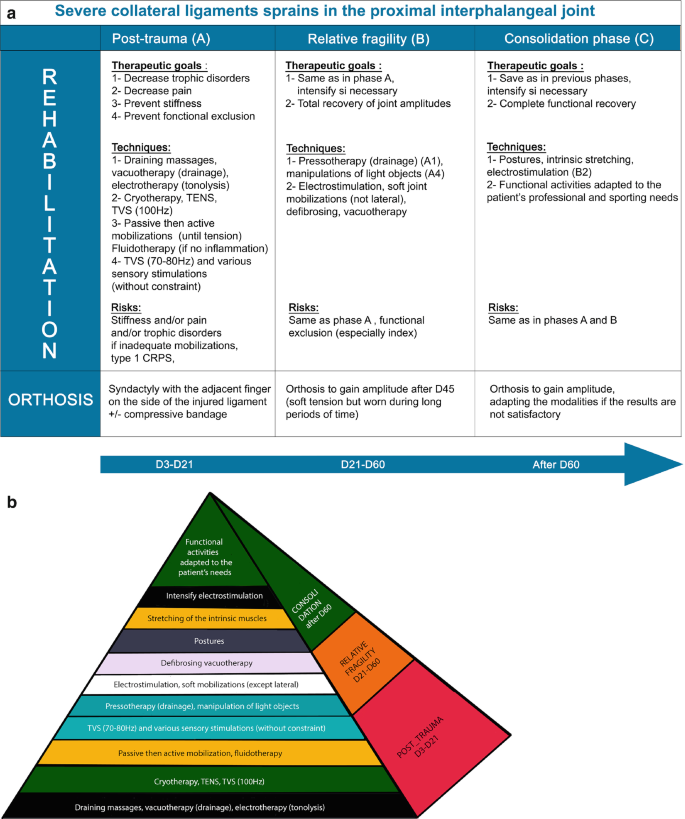 Capsulo-ligamentous Injuries of the Proximal Interphalangeal Joint ...