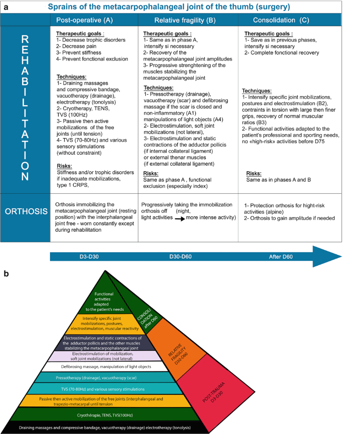 Sprains of the Metacarpophalangeal Joint of the Thumb | SpringerLink