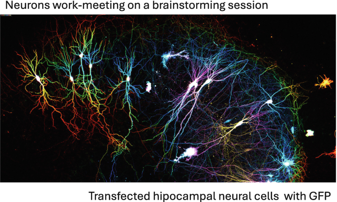 The Two-Photon Microscope | SpringerLink
