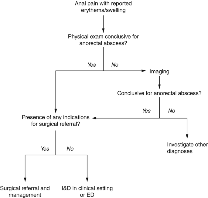 Anorectal Abscess | SpringerLink