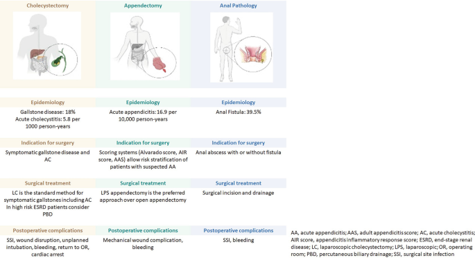 Common General Surgical Procedures: Cholecystectomy, Appendectomy, Anal ...