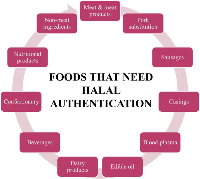 Halal Food Authentication Using FTIR Spectroscopy | SpringerLink