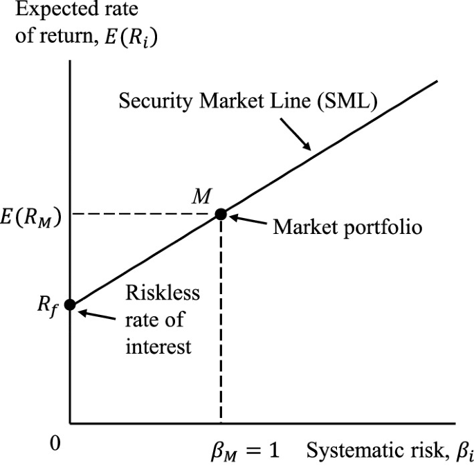The Rise of Anomalies: Challenging Theory and Practice in Finance ...