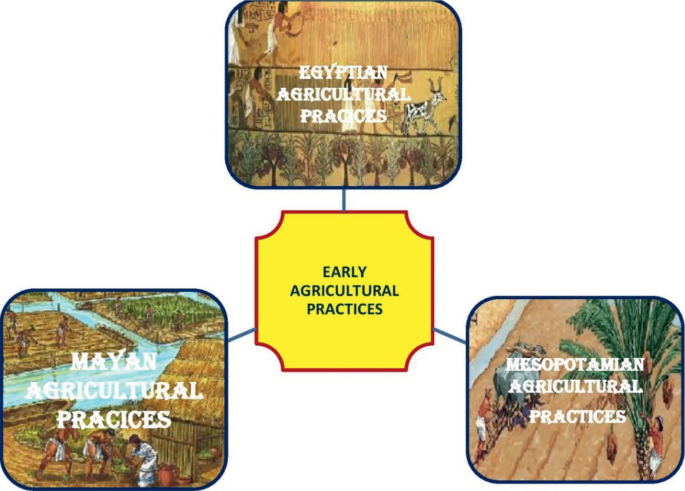 Soil and Land Use Change: An Overview and Historical Developments ...