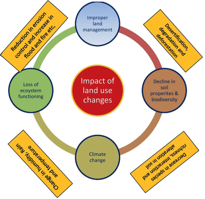 Soil and Land Use Change: An Overview and Historical Developments | SpringerLink