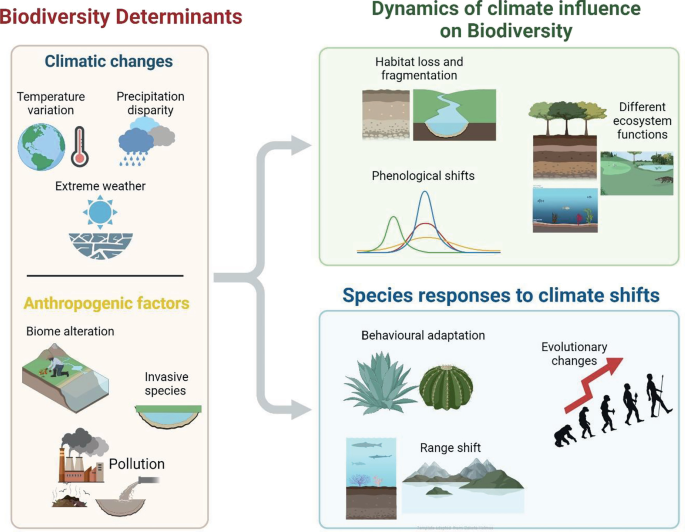 Climate as a Driver of Biodiversity Change on Land | SpringerLink