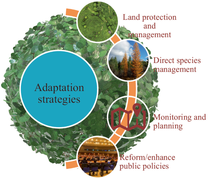 Climate as a Driver of Biodiversity Change on Land | SpringerLink