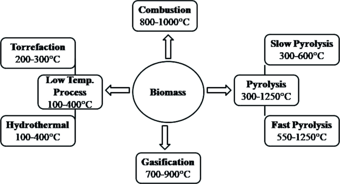 Biochar and Sustainable Soil Health | SpringerLink