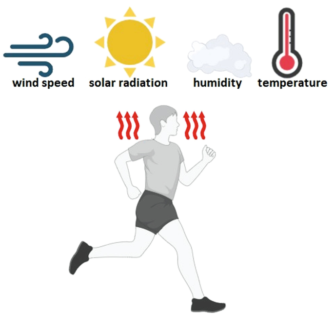 Effects of Sports Disciplines on Skin Temperature Asymmetries ...