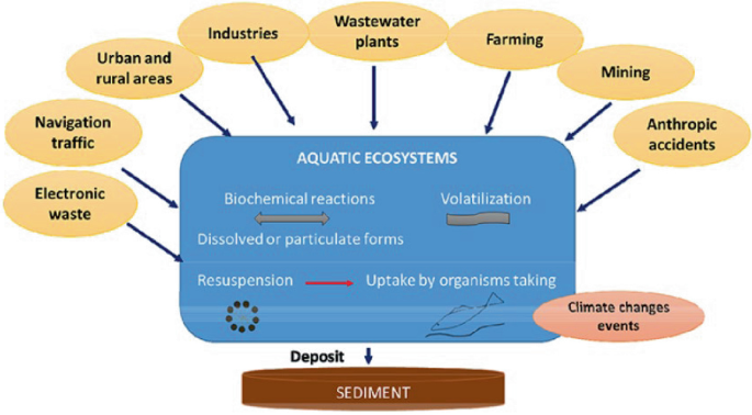 Impact of Heavy Metals on Aquatic Ecosystems | SpringerLink