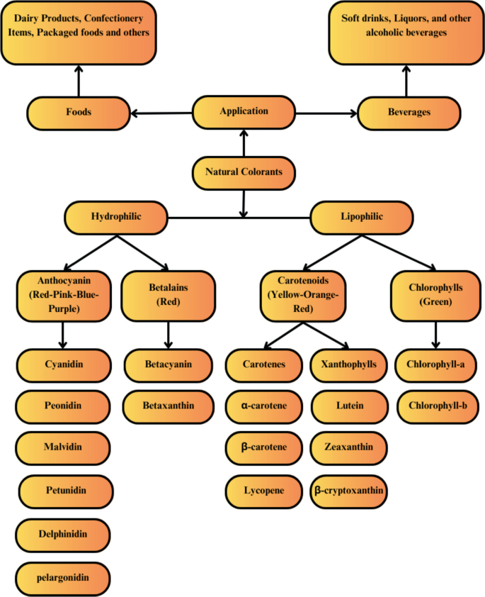 Food Color Toxicity in Forensic Science: Evaluating Safety Concerns ...