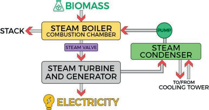 Strategies, Techniques and Advancement for Biomass Conversion: A ...