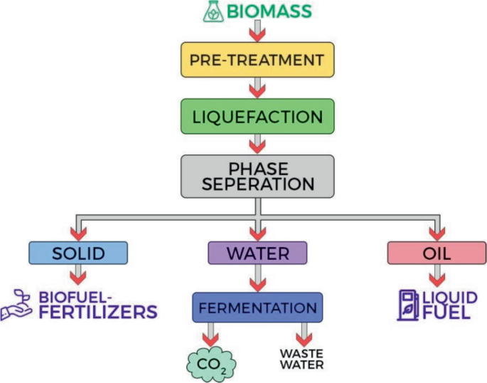 Strategies, Techniques and Advancement for Biomass Conversion: A ...